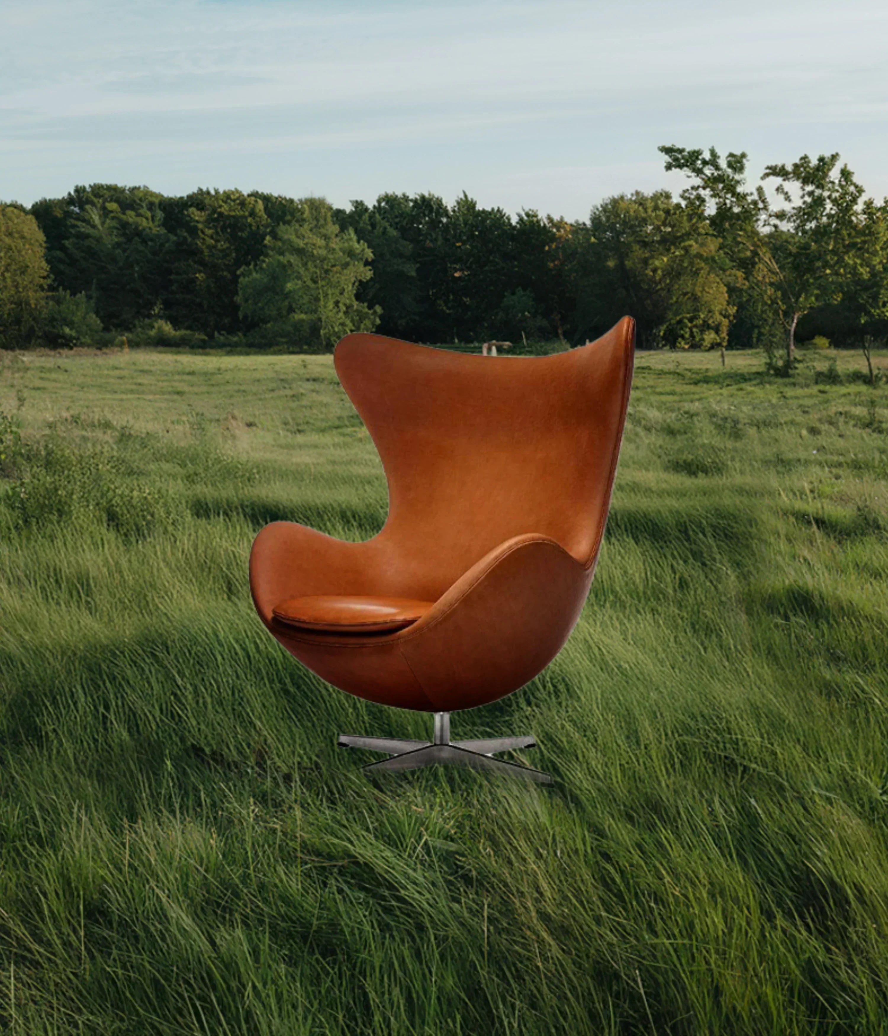 Curiouz Is Building a Greener Future for Interiors